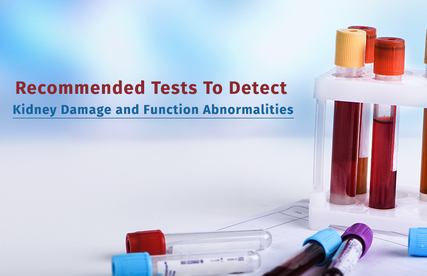 Recommended Tests To Detect Kidney Damage and Function Abnormalities ...