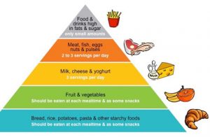 CKD and Diet - Kundan Kidney Care Centre